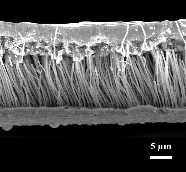 New 3D graphene-nanowire "sandwich" | Nanodigest